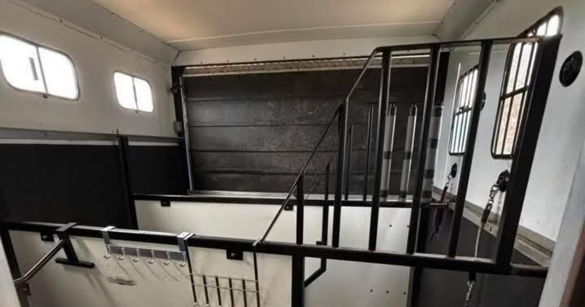 2004 DAF LF 150 – 7.5 Ton Horsebox