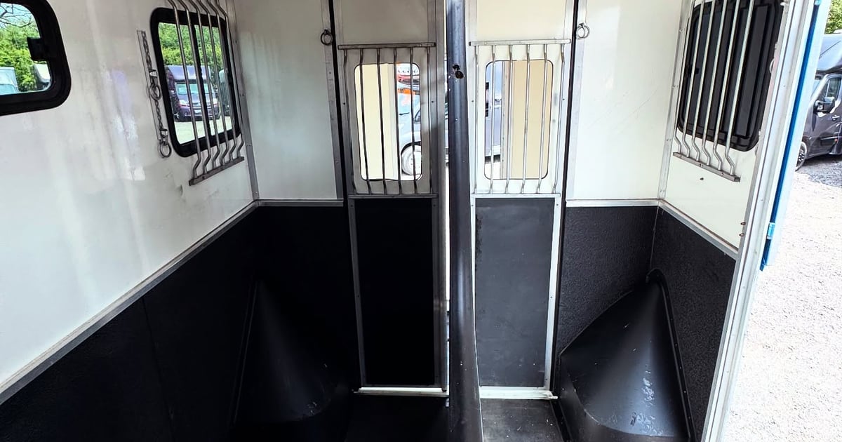 Stunning Stallion Box by Unique - Roughly 2 YO